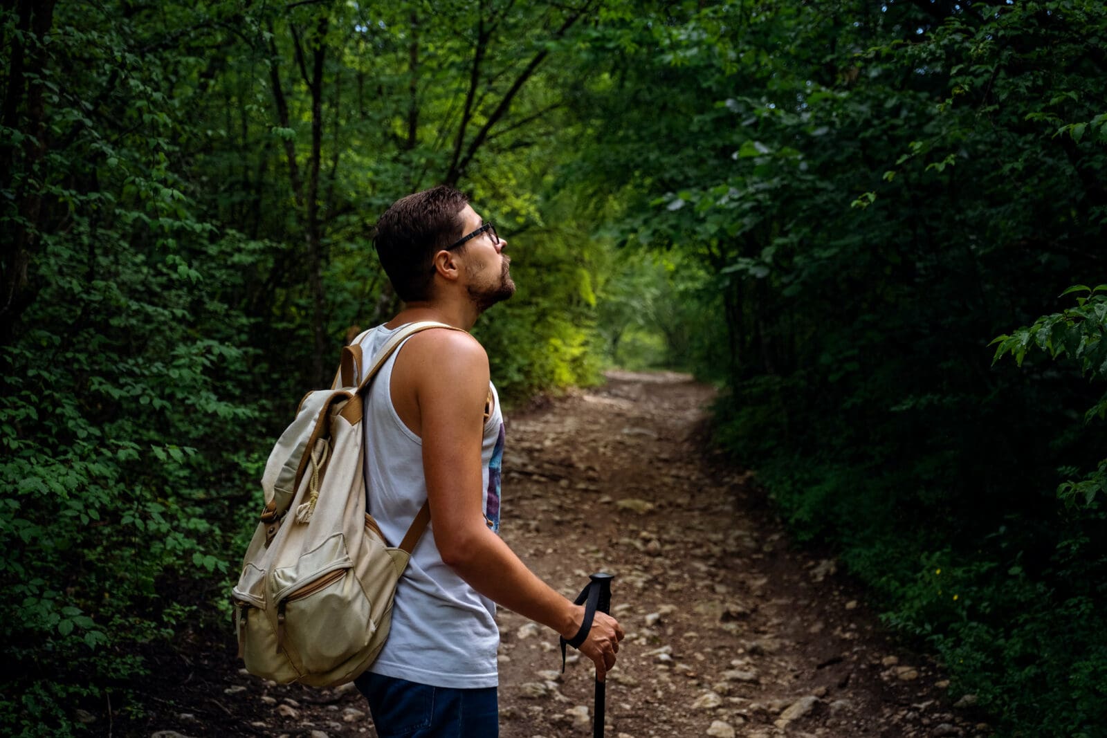 Effects On Perceptual Set | Motivation Expectation, Emotion And Culture