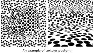 Direct theory of perception (Gibson, 1966) | Bottom-up theory & strengths