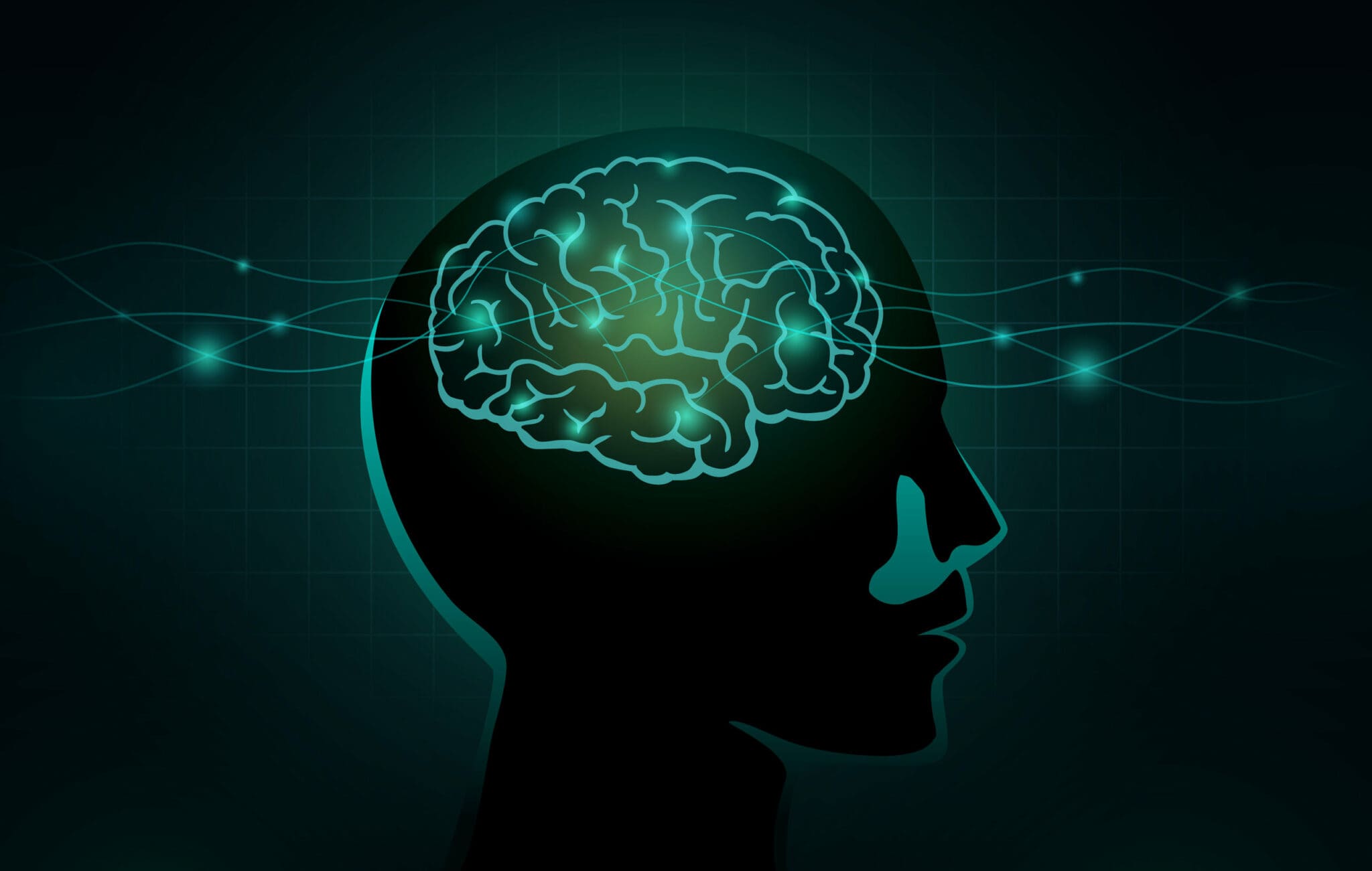 The structure and function of the brain | Lobes, Cerebellum