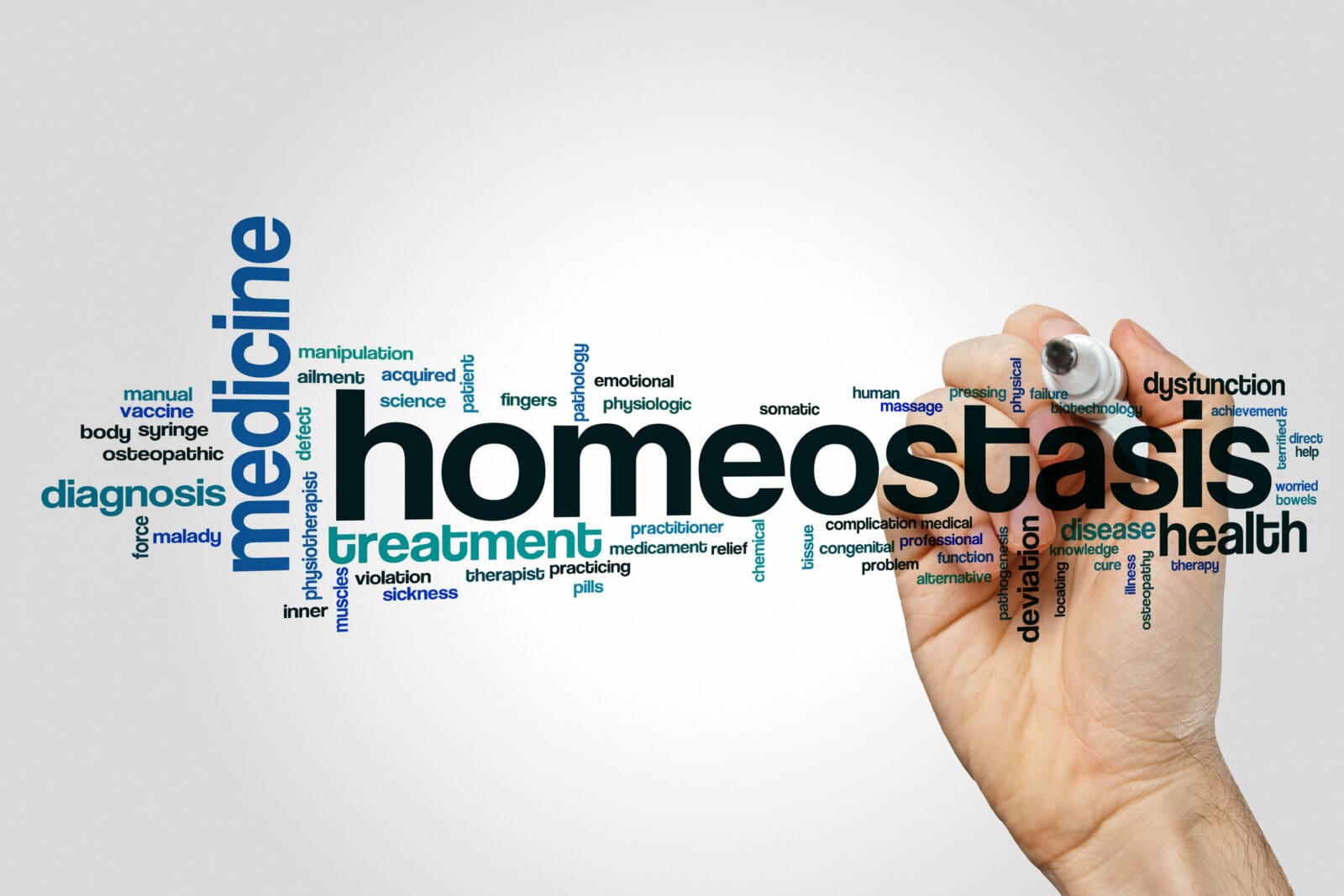 Homeostasis | Receptors, effectors and stimuli | Central nervous system