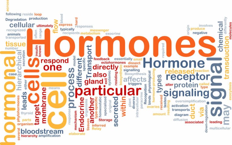 Hormones | What Are They? | Adrenaline, Insulin, Testosterone & Oestrogen