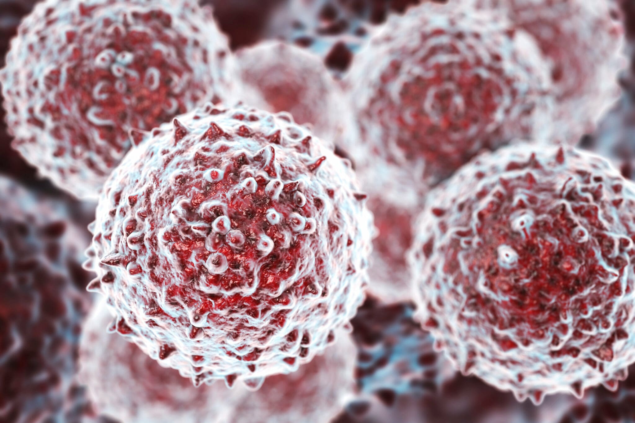 Understanding Stem Cells: Functions, Benefits, And Risks