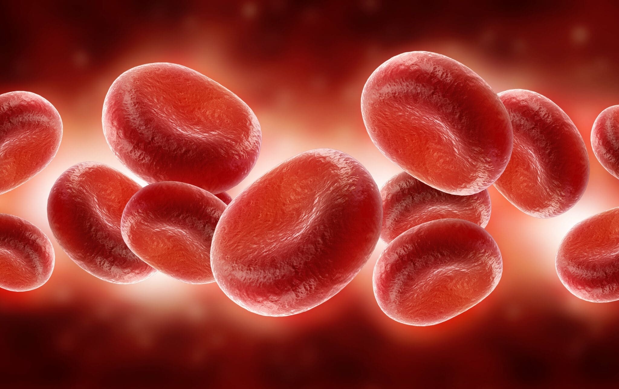 Understanding the Composition of Blood: Key Components