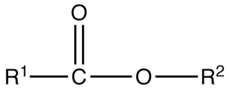 Esters | What is an Ester? | Properties and naming conventions