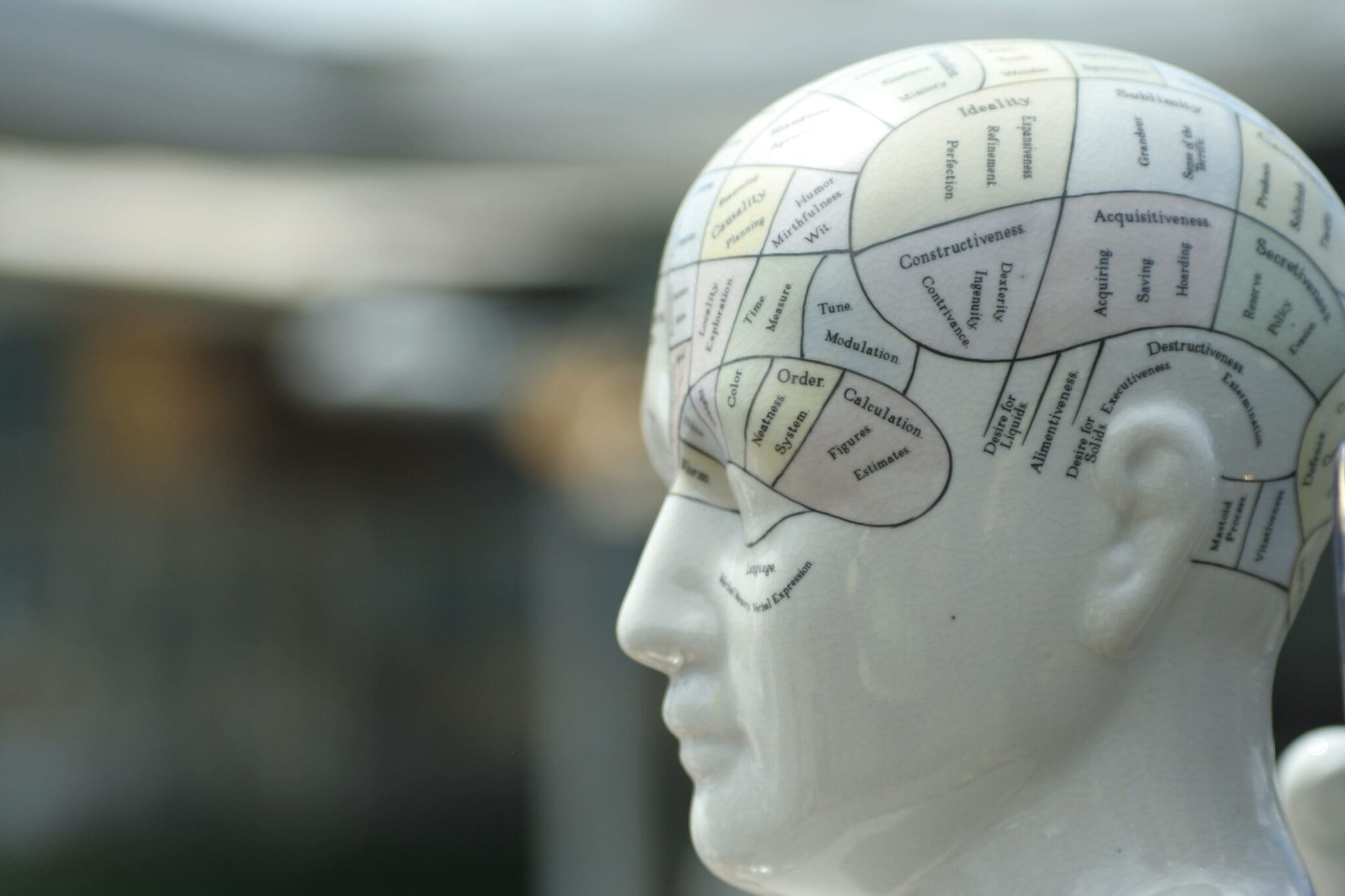 Best A Levels For Psychology A Guide For Future Students best-a-levels-for-psychology-a-guide-for-future-students