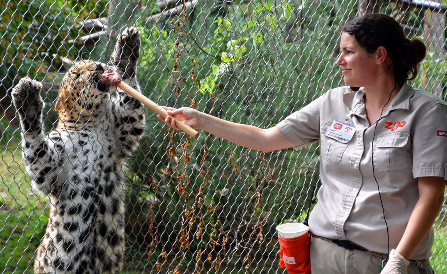 A Day in the Life of a Zookeeper: Routine and Role
