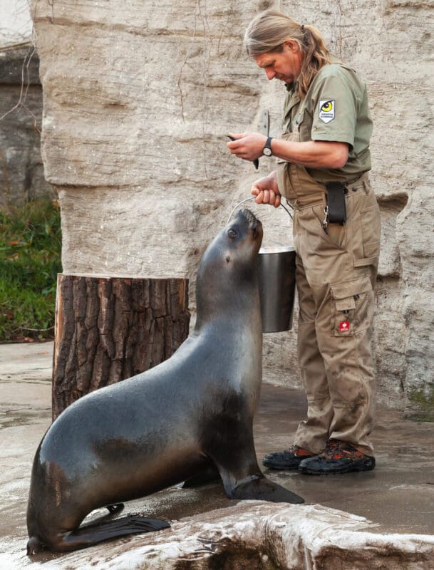 How To Become A Zookeeper In 2025: Your Wild Career 🦁