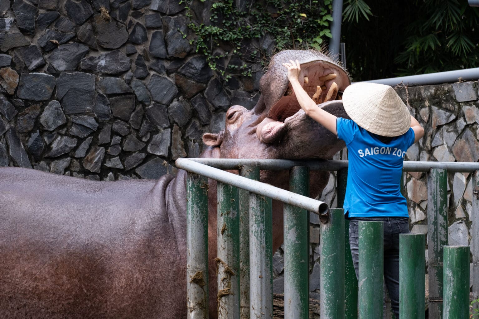 How To Become A Zookeeper In 2025: Your Wild Career 🦁